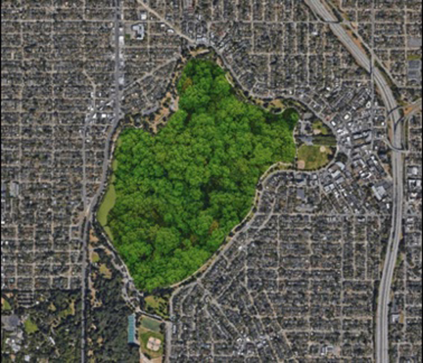 How is Ravenna Faring at Tree Equity? – Friends of Ravenna-Cowen Blog